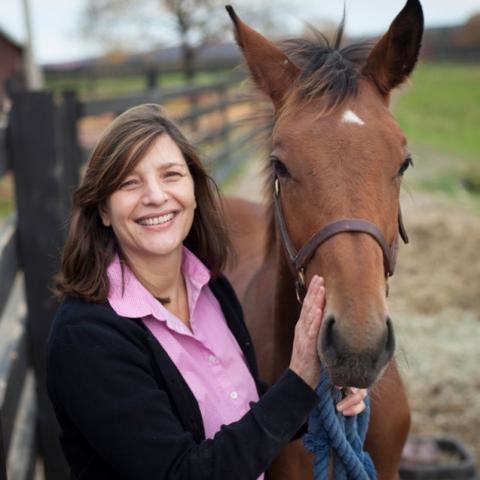Care | Cornell Equine | Cornell University